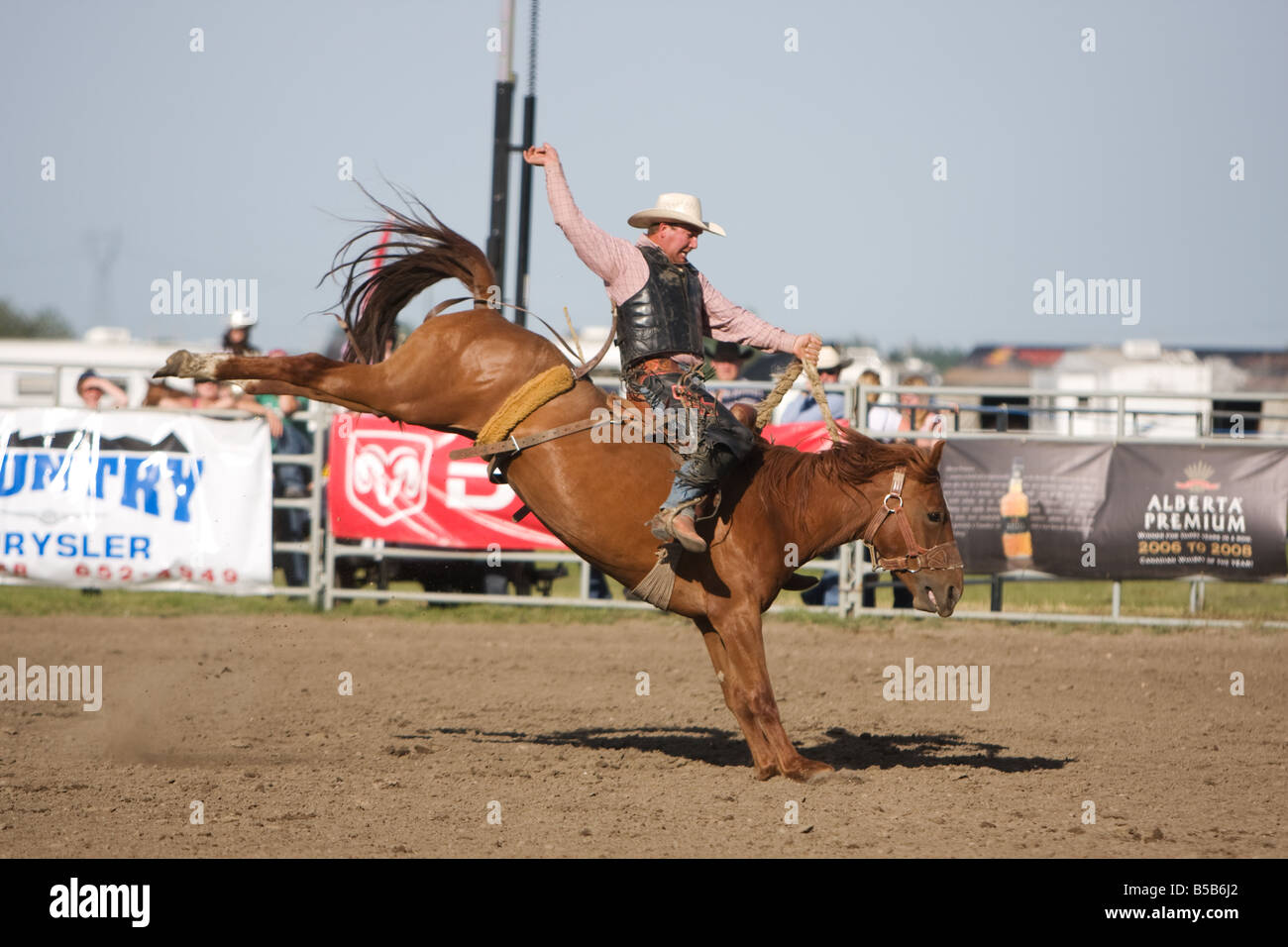 Horse bucking hi-res stock photography and images - Alamy