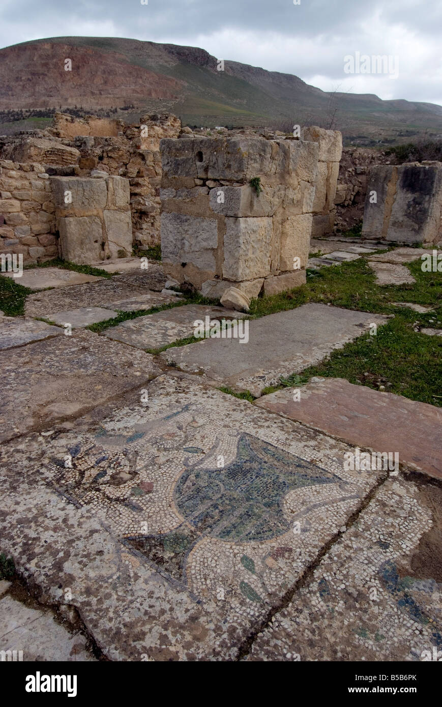 Christian basilica, Roman ruin of Bulla Regia, Tunisia, North Africa ...