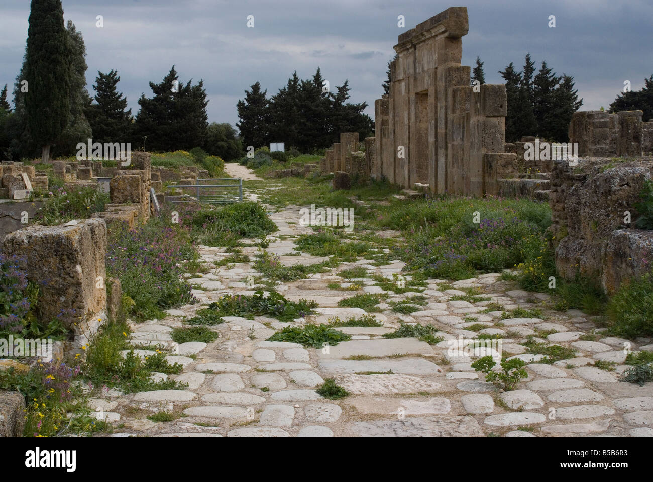 Decumanus (Main Street), Punic and Roman site of Utica, Tunisia, North ...