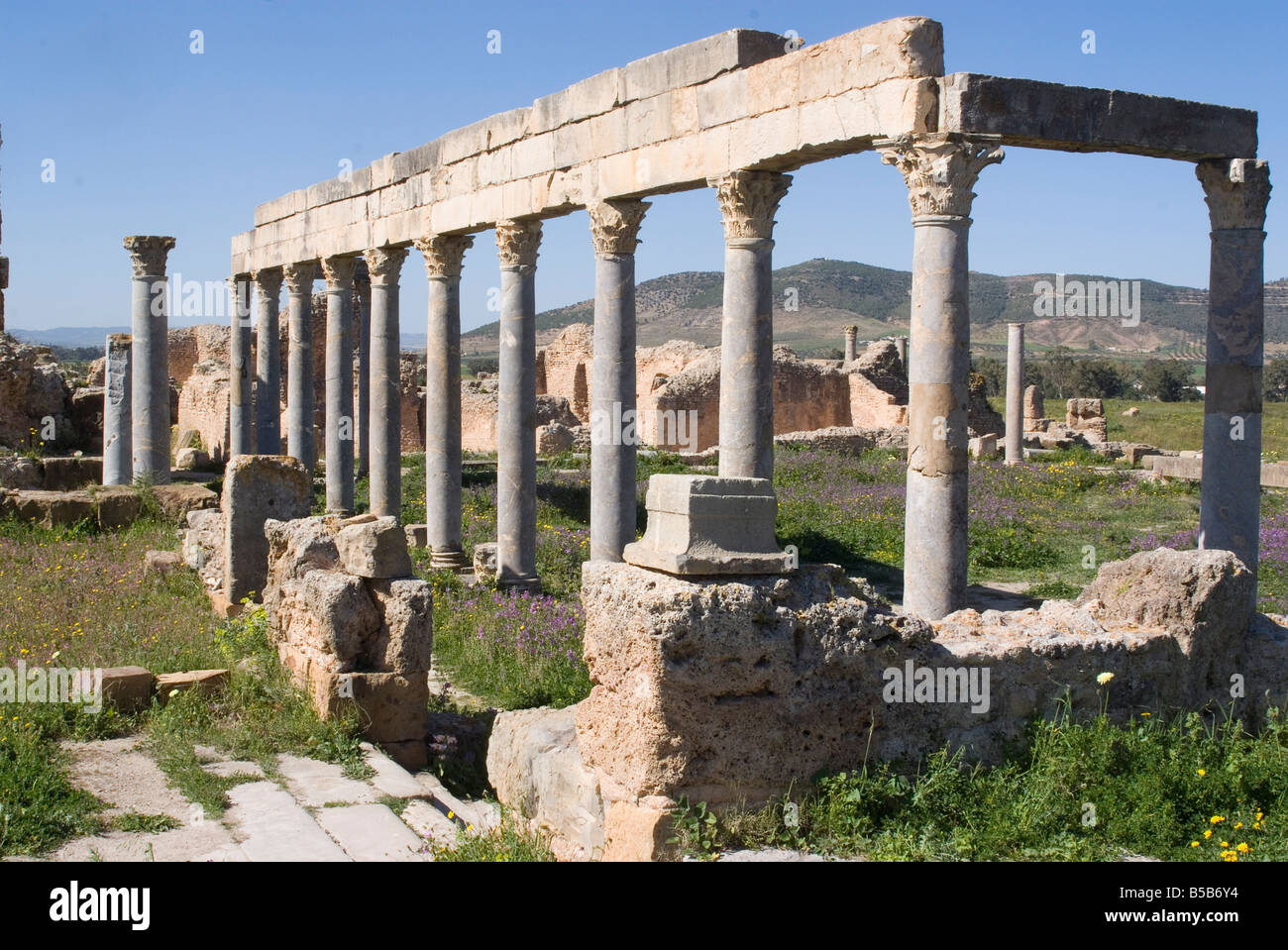 Palaestra, Greco-Roman gymnasium, Roman site of Thuburbo Majus, Tunisia ...