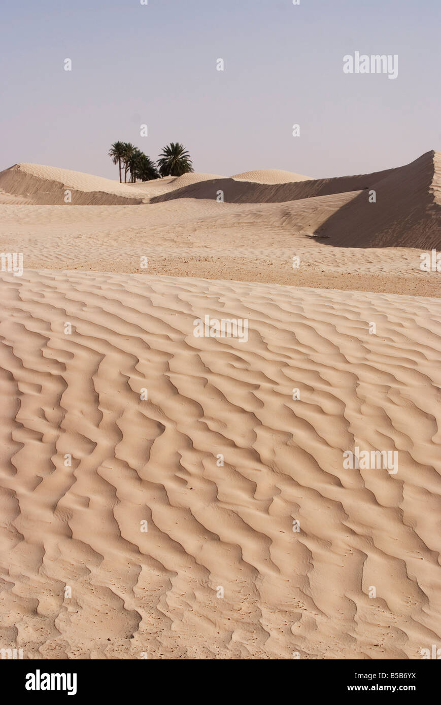 Douz hi-res stock photography and images - Alamy