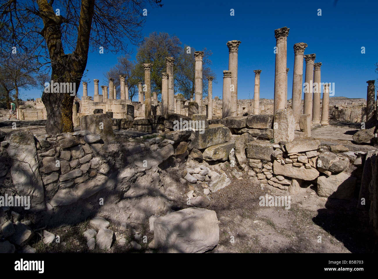Ancient roman school hi-res stock photography and images - Alamy