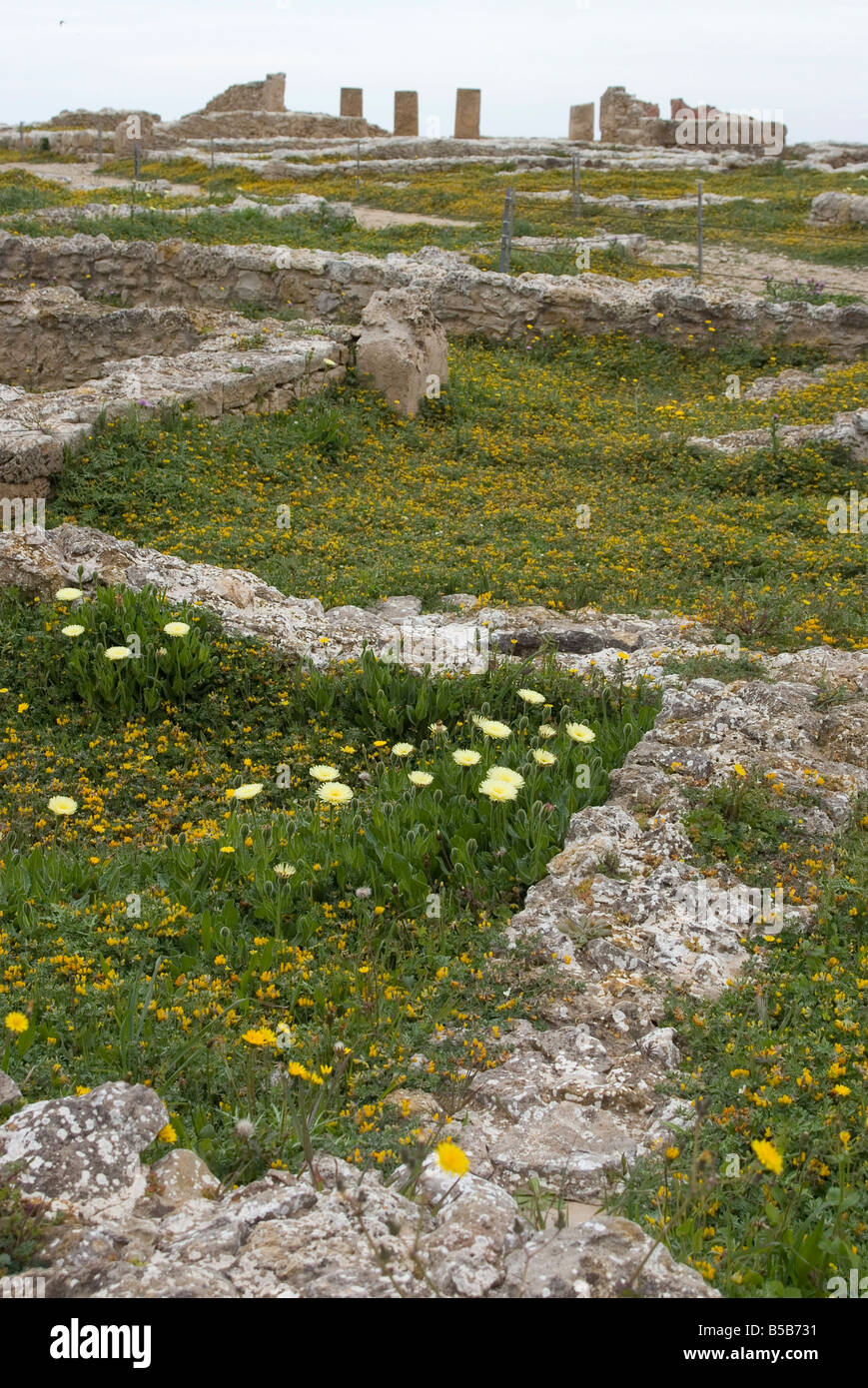 World punic hi-res stock photography and images - Alamy