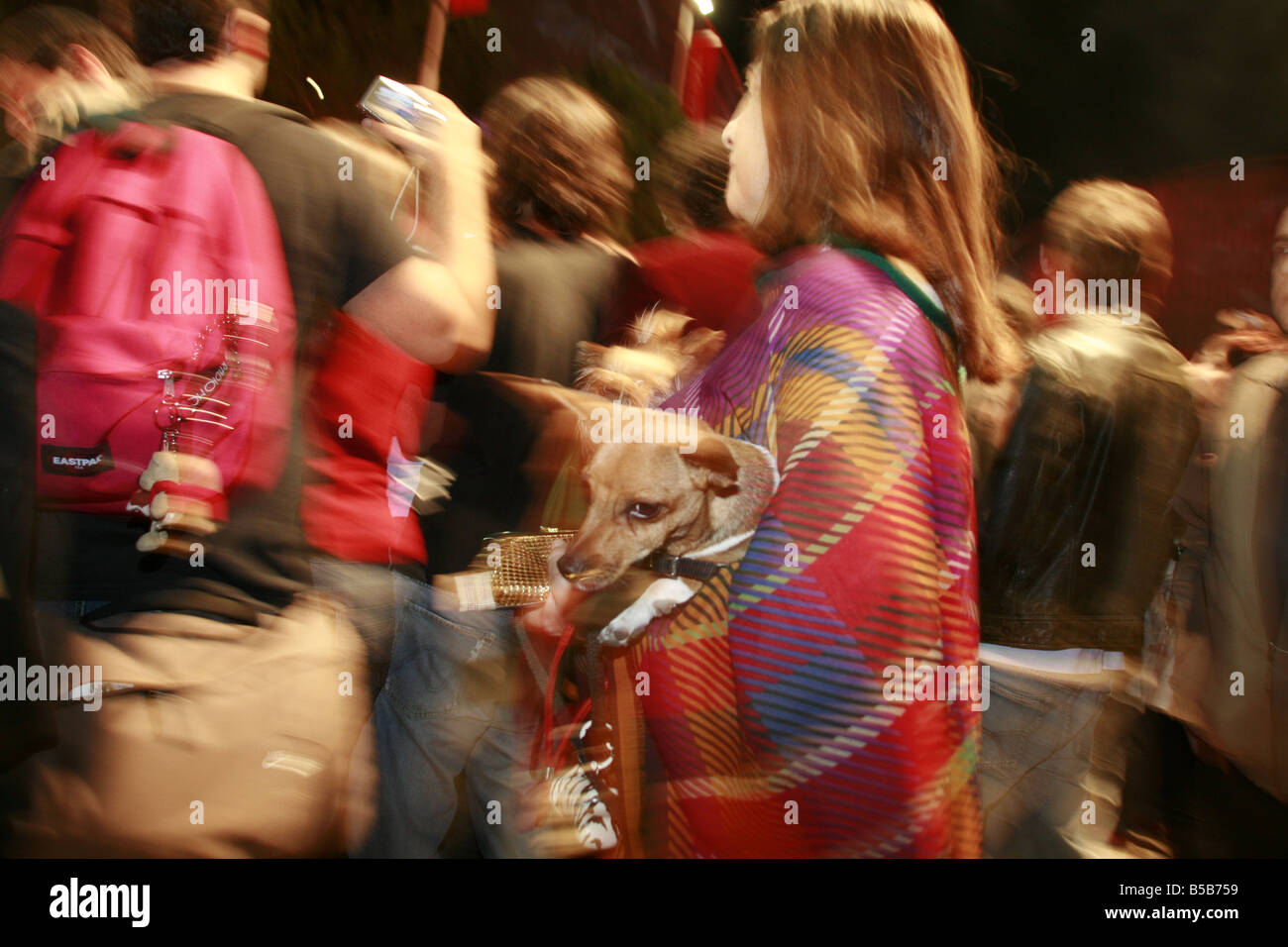 woman carrying pet dog in crowd at night in city town Stock Photo - Alamy