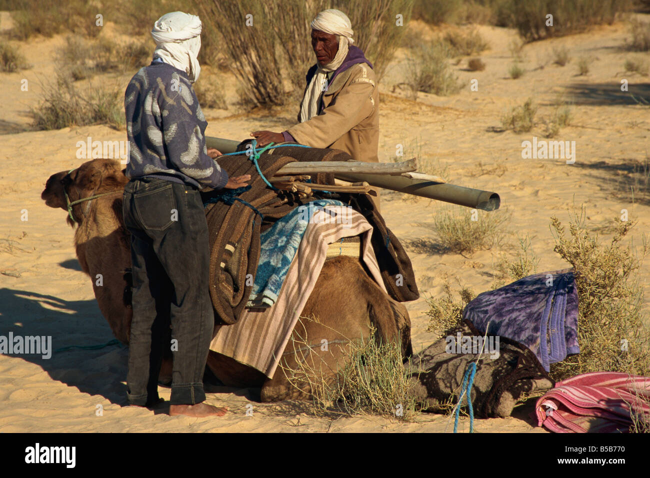 Berber guides loading camel Sahara Desert near Douz Tunisia North ...