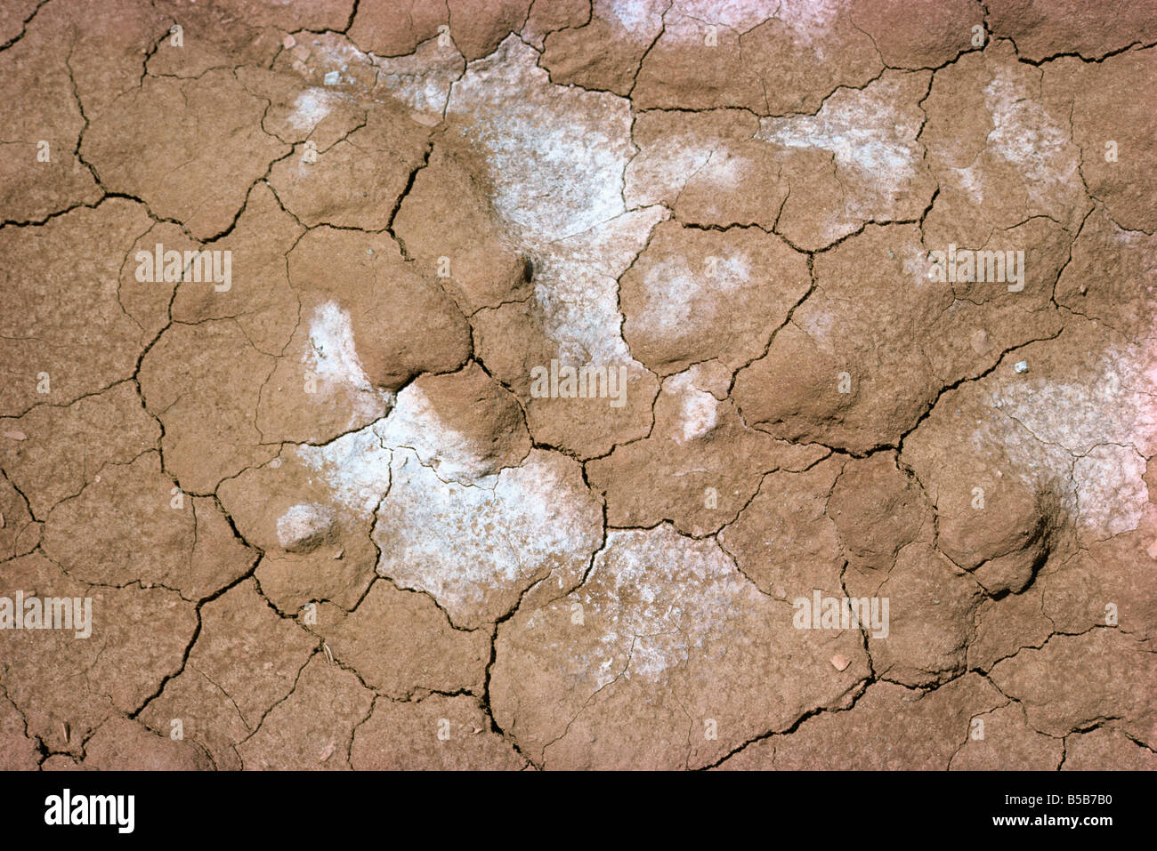 Sign of drought Pakistan Asia Stock Photo - Alamy