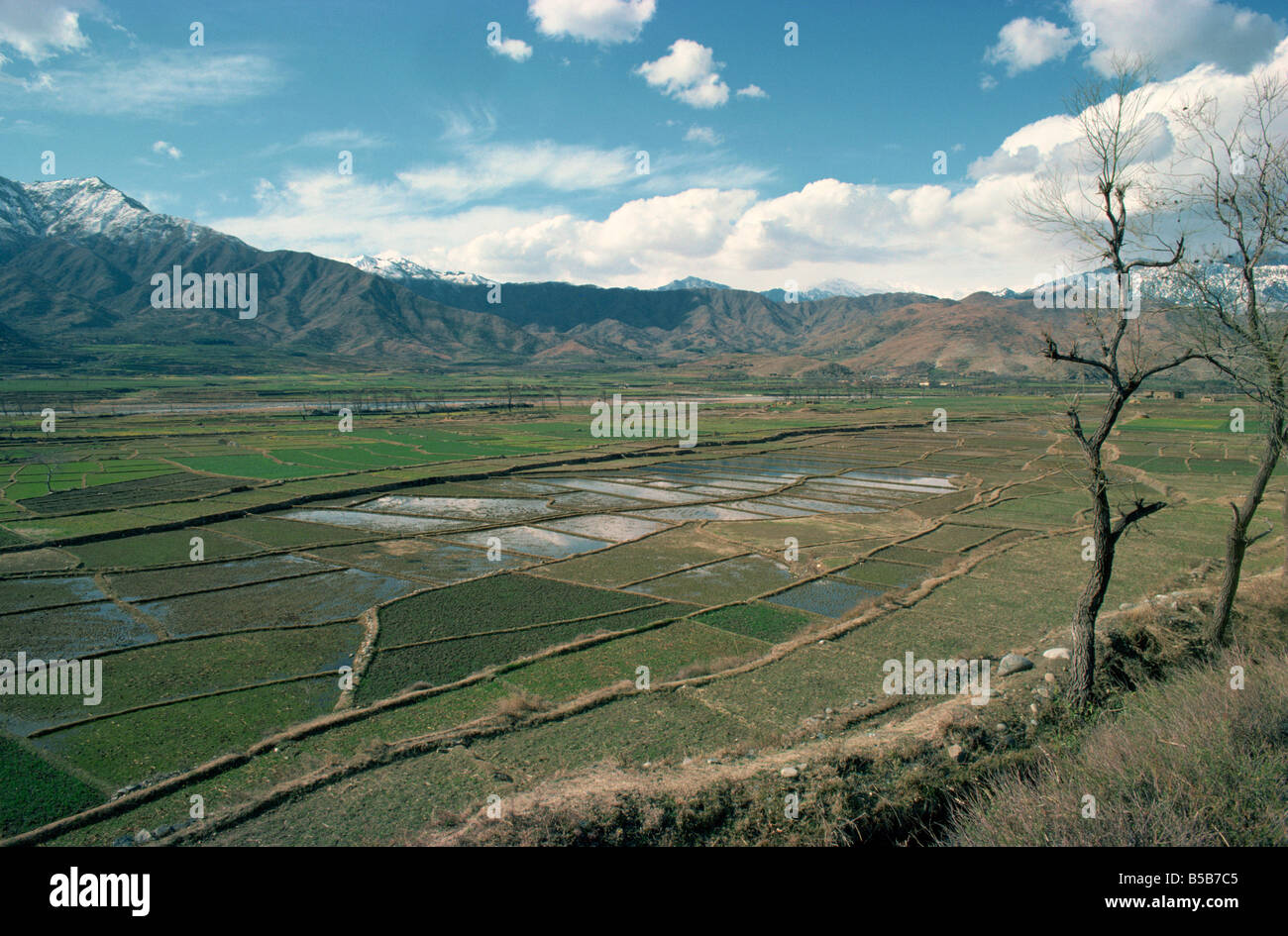 Swat region Pakistan Asia Stock Photo - Alamy