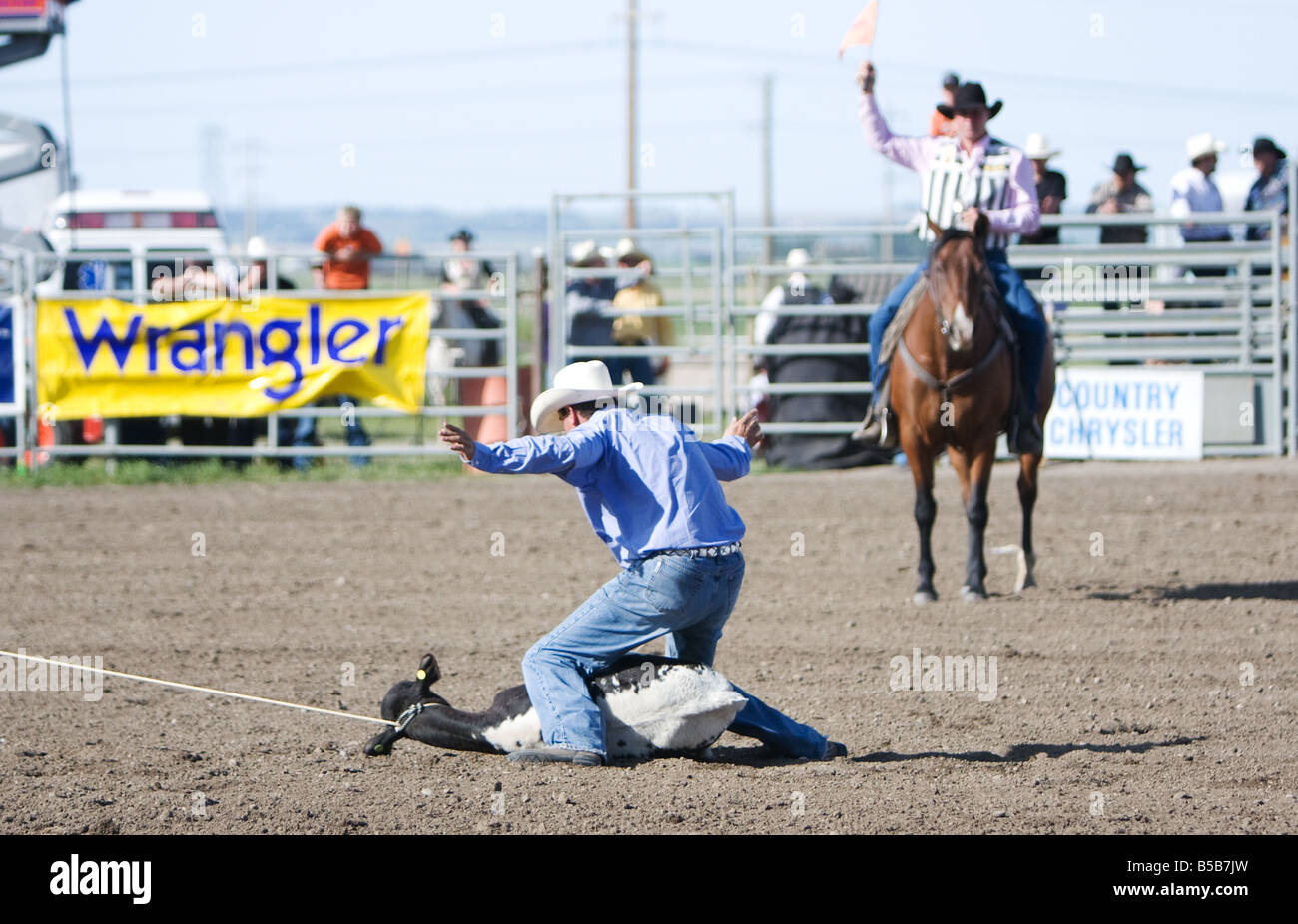 A cowboy chasing a calf in the calf roping contest at a rodeo Stock ...