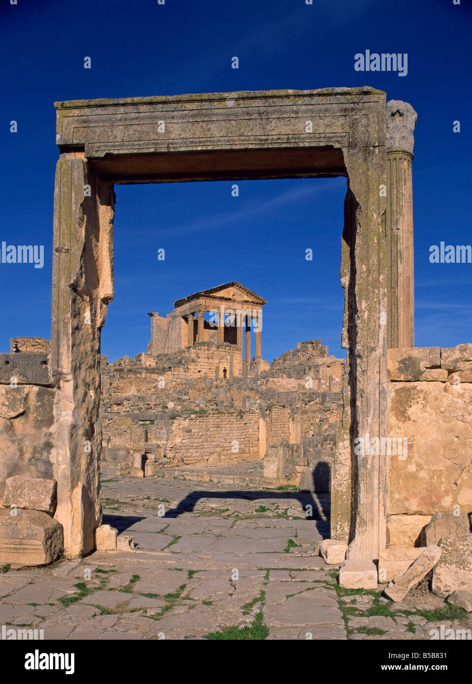 Dougg hi-res stock photography and images - Alamy