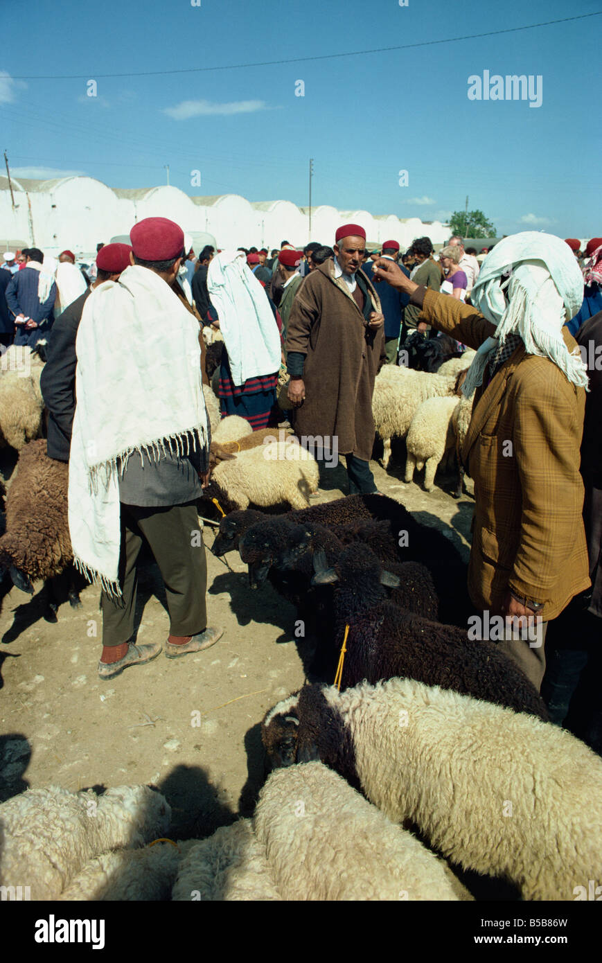 Tunisia market nabeul hi-res stock photography and images - Alamy