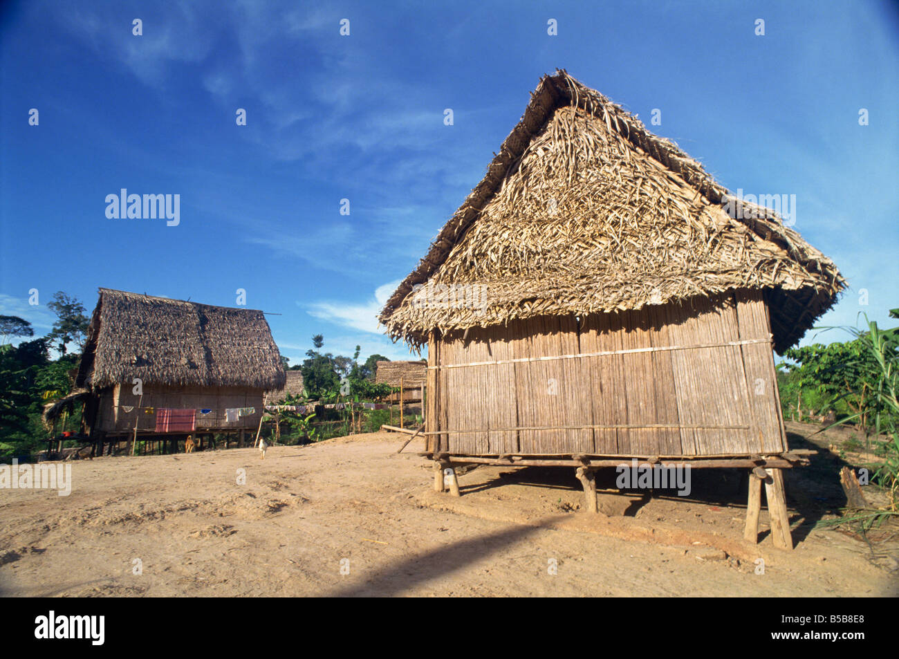 Amazon tribe houses hi-res stock photography and images - Alamy
