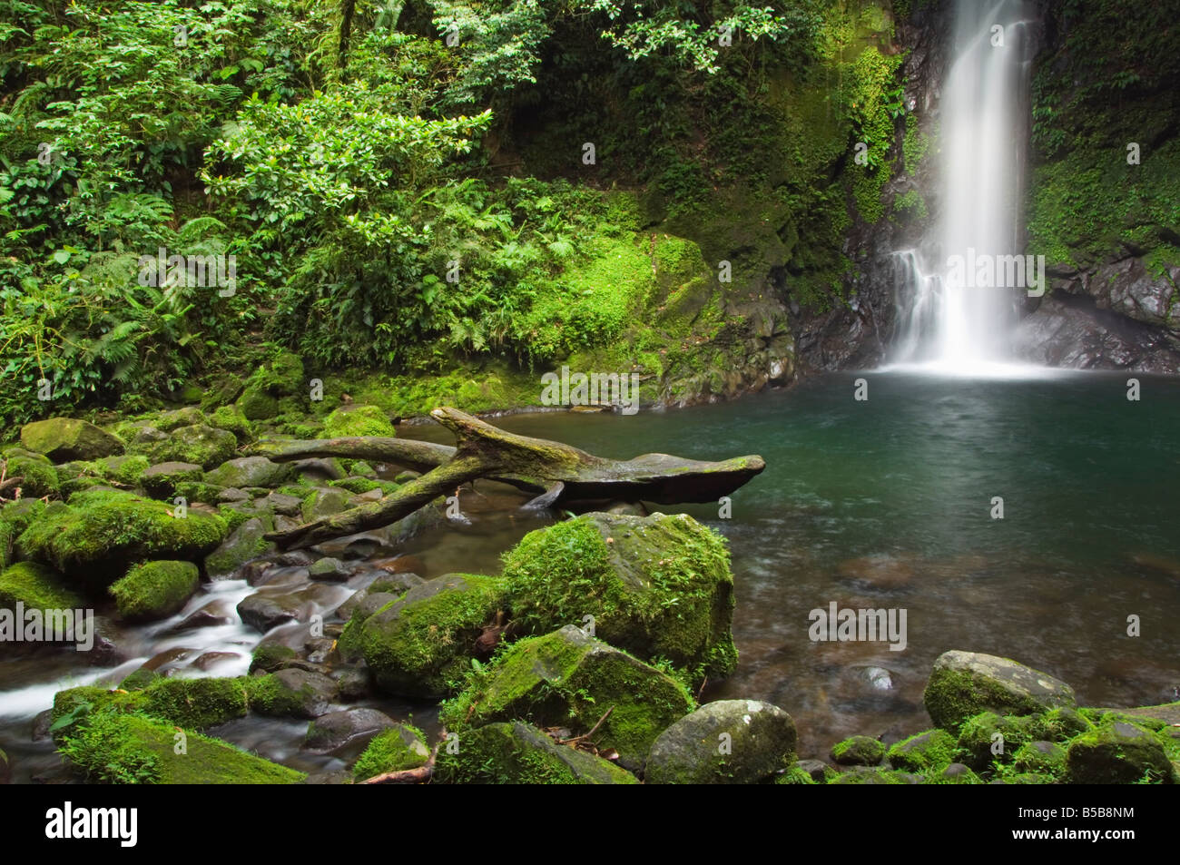 Malabsay Waterfall, Mount Isarog National Park, Bicol, southeast Luzon ...