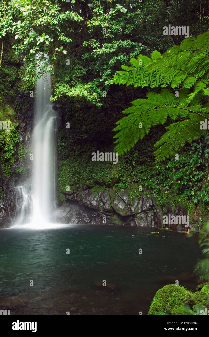 Malabsay Waterfall, Mount Isarog National Park, Bicol, southeast Luzon ...