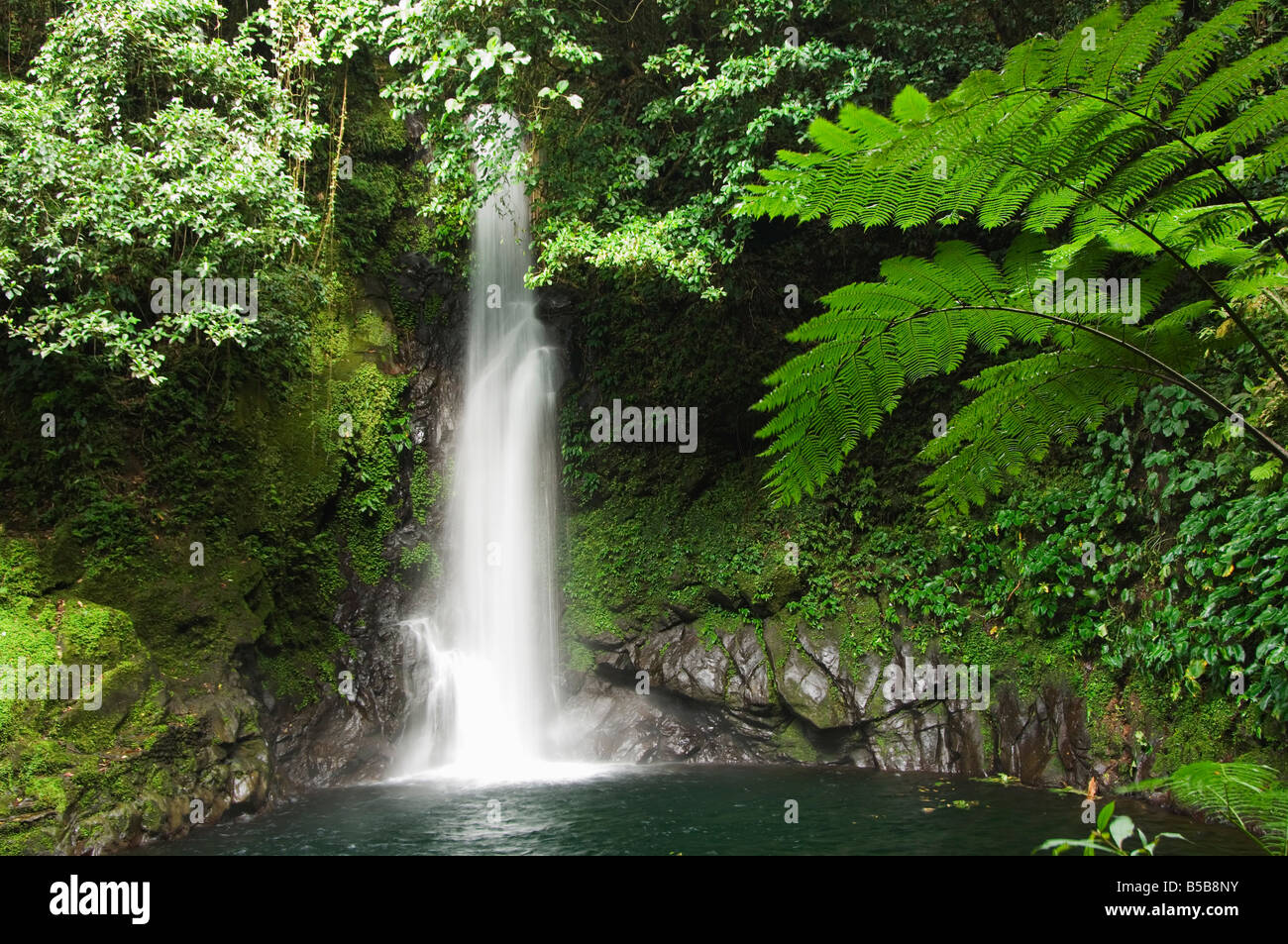Malabsay Waterfall, Mount Isarog National Park, Bicol, southeast Luzon ...