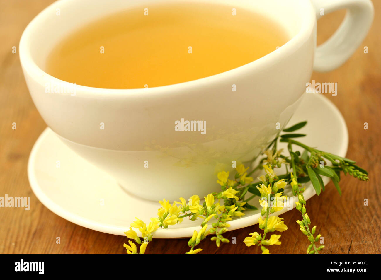 Common melilot Melilotus officinalis Stock Photo - Alamy