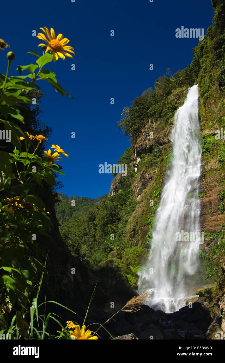 Banga philippines hi-res stock photography and images - Alamy