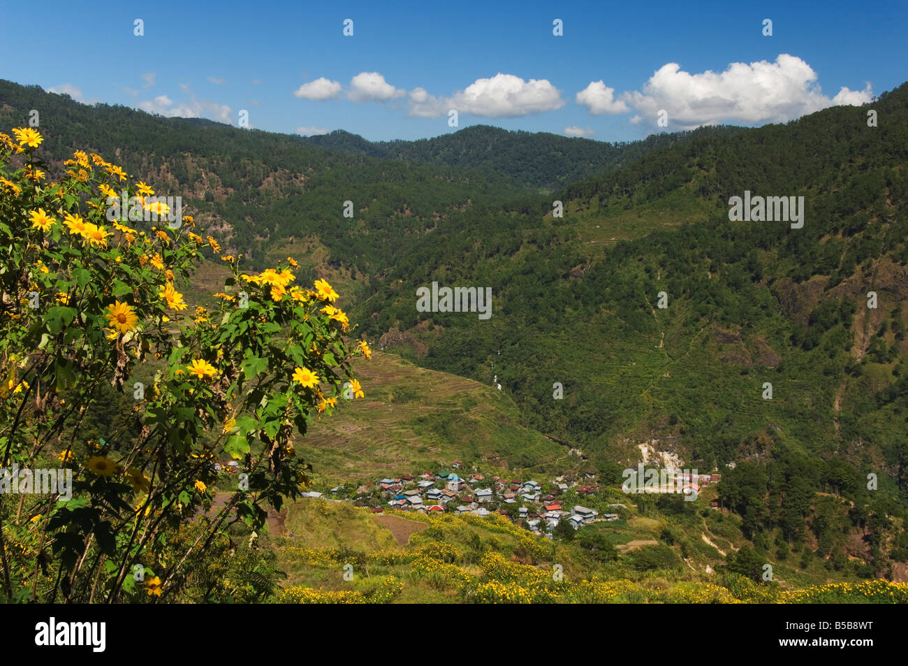 Banga-an village, rice terraces near Sagada Town, The Cordillera ...