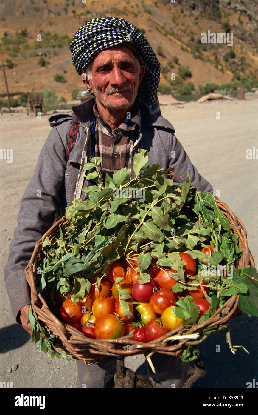 Kurdish man with tomatoes for sale, Kurdistan, Anatolia, Turkey Minor ...