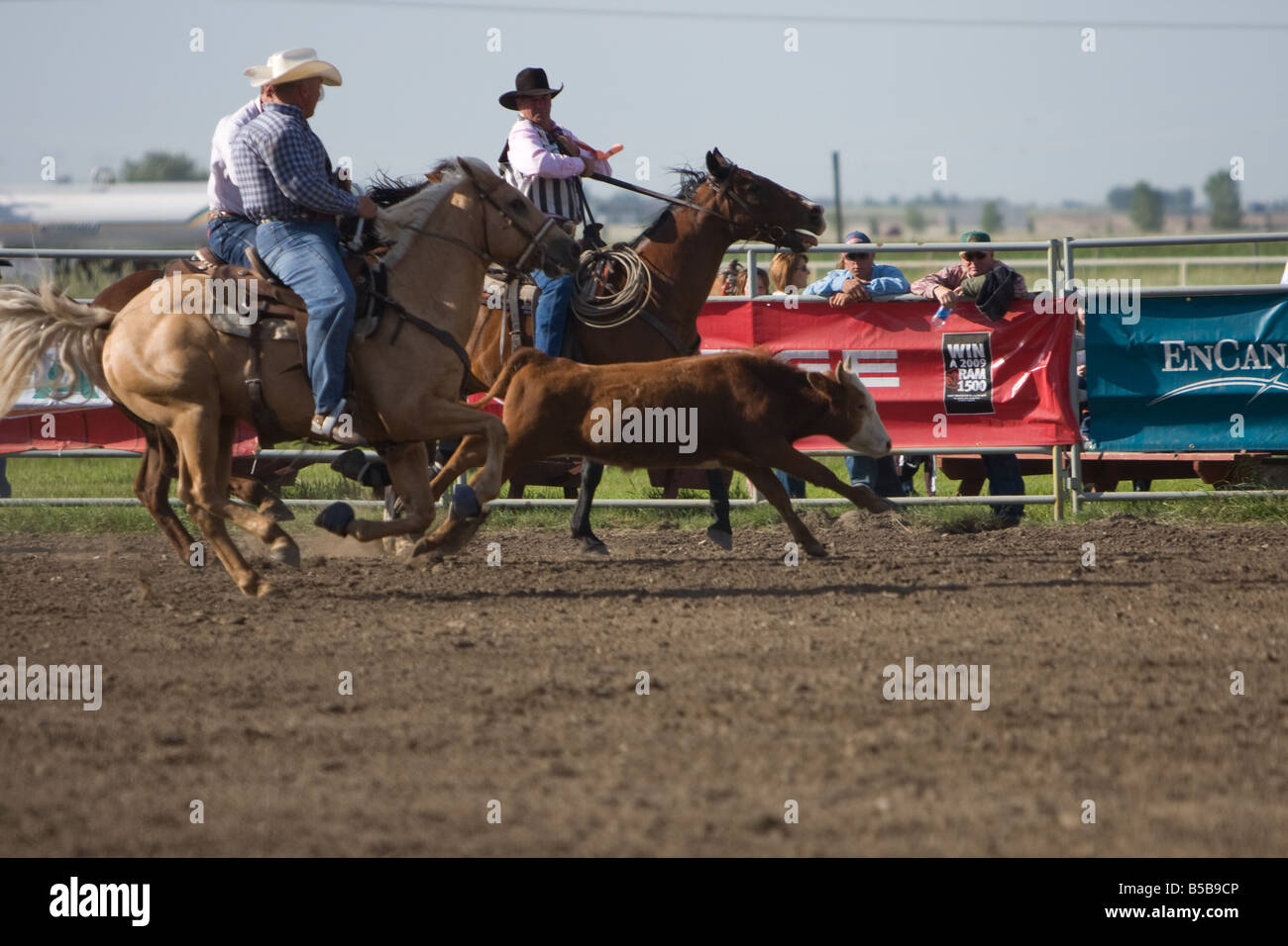 Bulldogging High Resolution Stock Photography and Images - Alamy