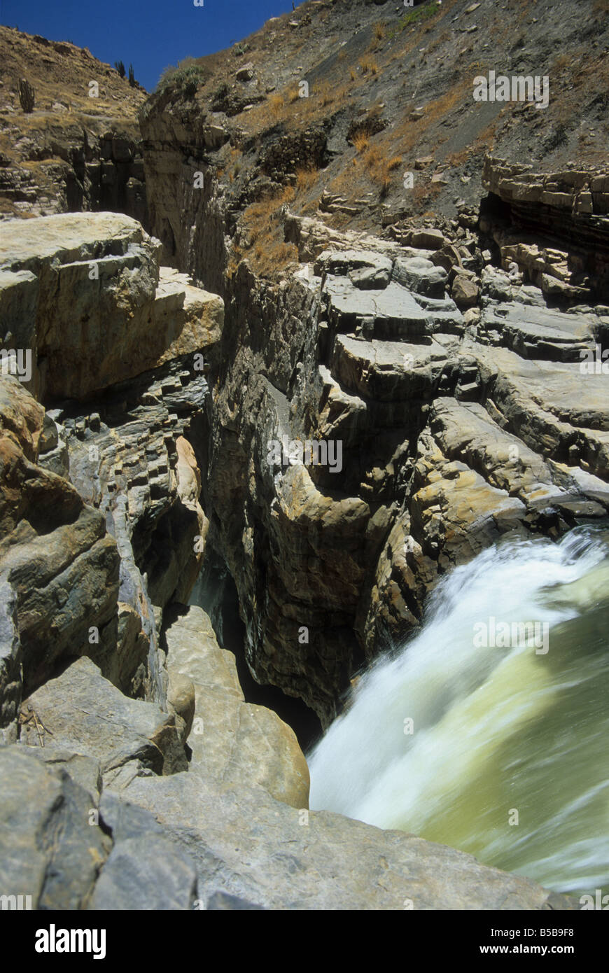 Cascade de sipia hi-res stock photography and images - Alamy