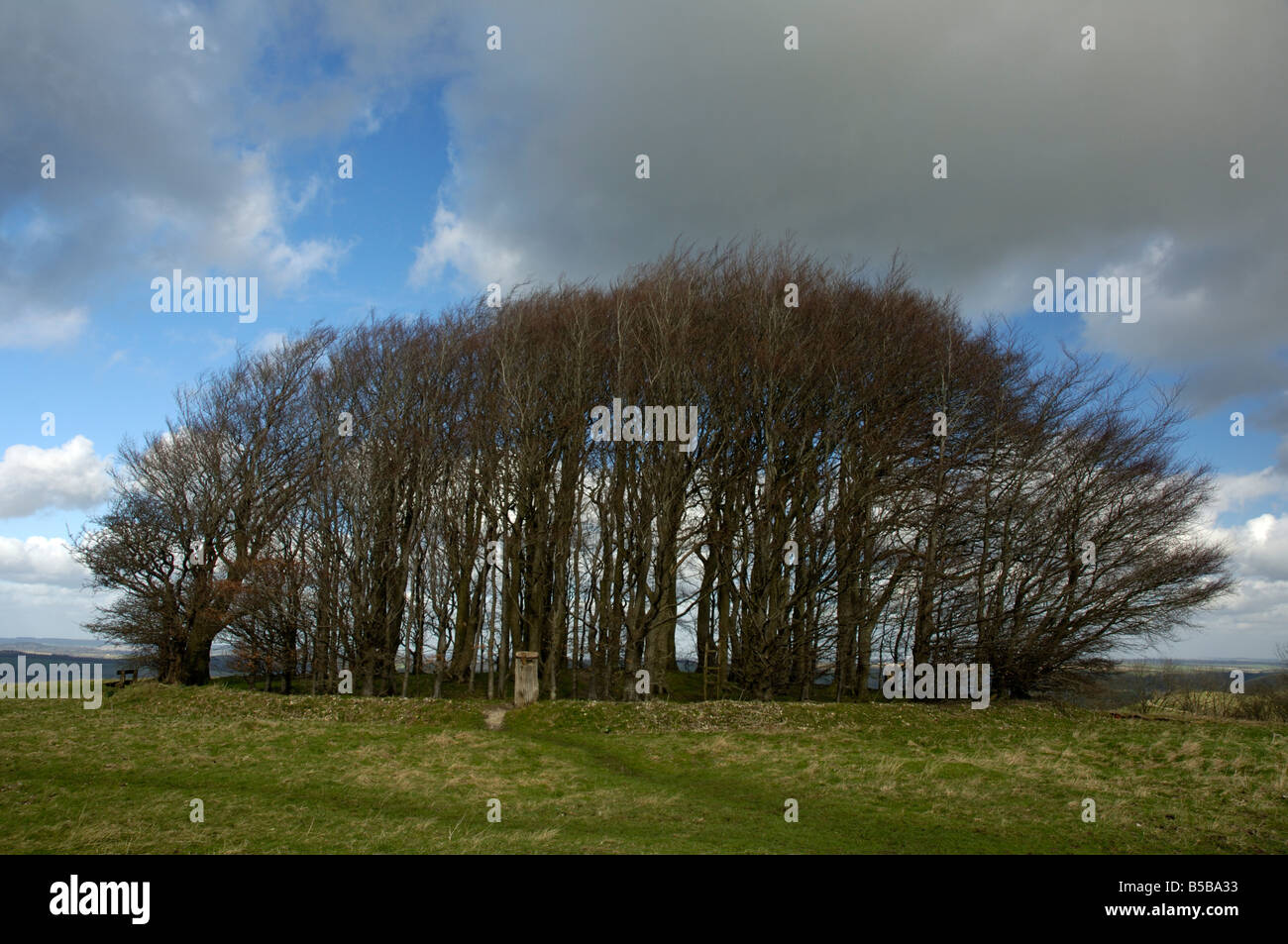 Win green hi-res stock photography and images - Alamy