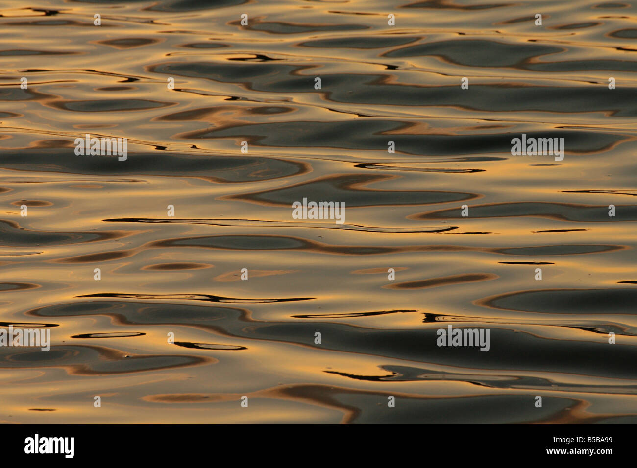 Ripples on the surface of a lake at sunset Stock Photo - Alamy