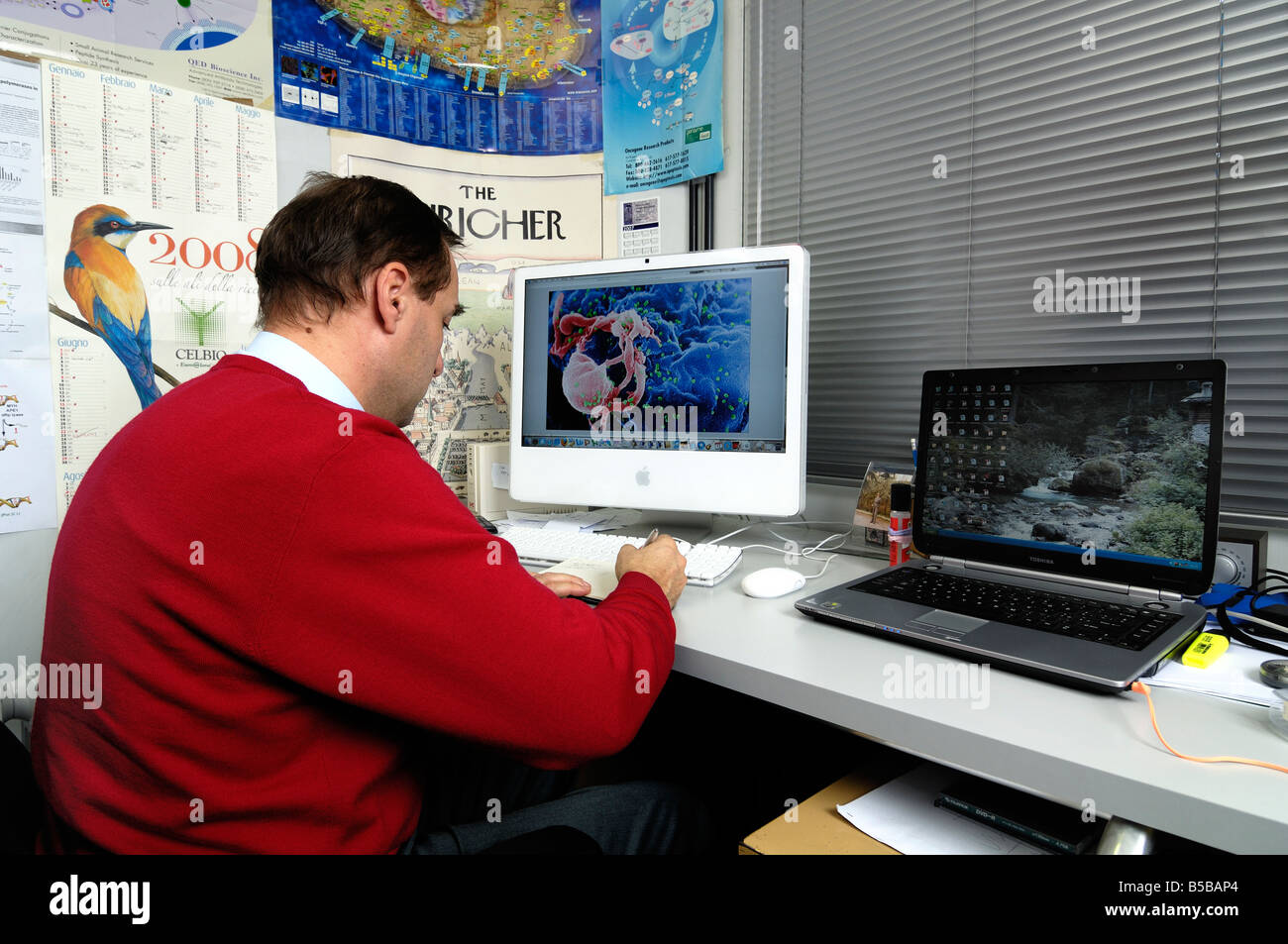 medical laboratory science of study aids Stock Photo - Alamy