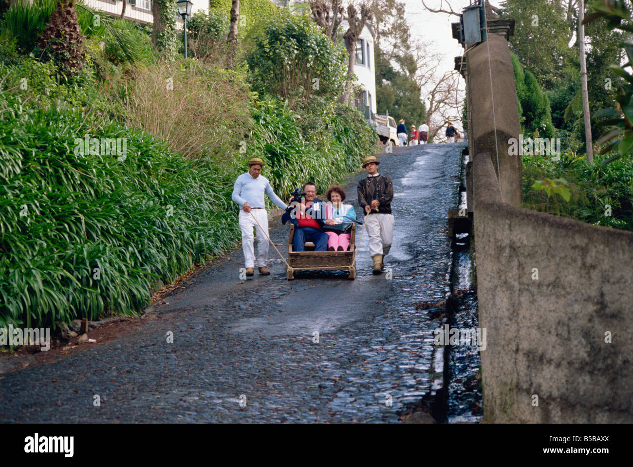 Monte toboggan madeira sledges hi-res stock photography and images - Alamy