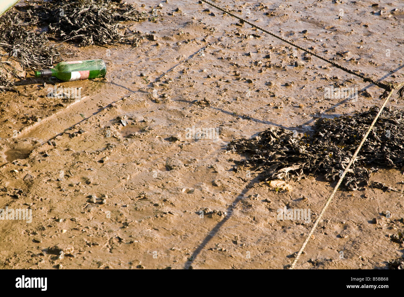 flotsam and jetsam washed ashore on muddy beach Stock Photo - Alamy