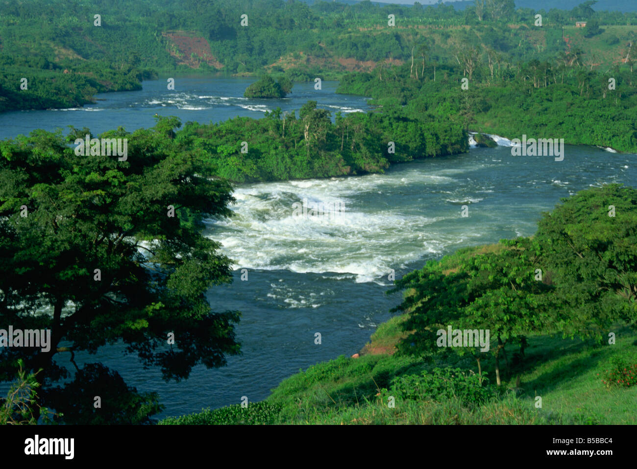 Victoria Nile River through rainforest, Jinja Falls, near Kampala ...
