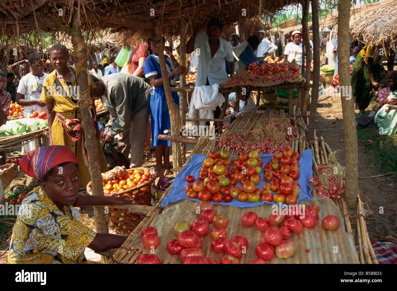 Vegetable markets Virunga Volcanoes Uganda East Africa Africa Stock ...