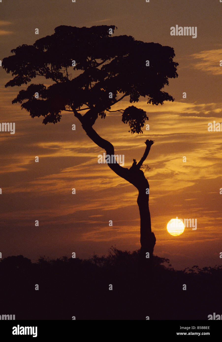 The Bujagali Falls at dawn Uganda Africa D C Poole Stock Photo - Alamy