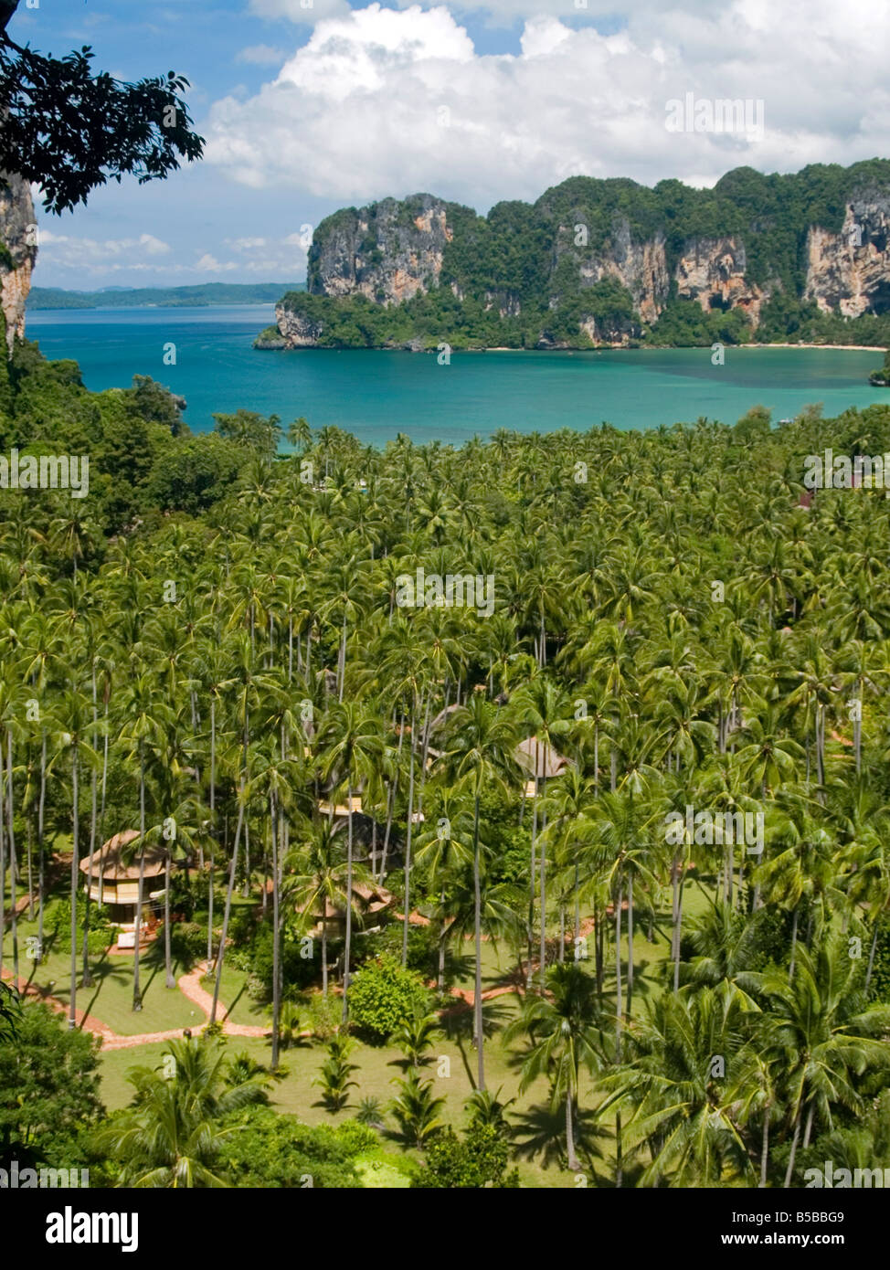 aerial view of beautiful Tonsai Bay in Krabi Thailand Stock Photo - Alamy