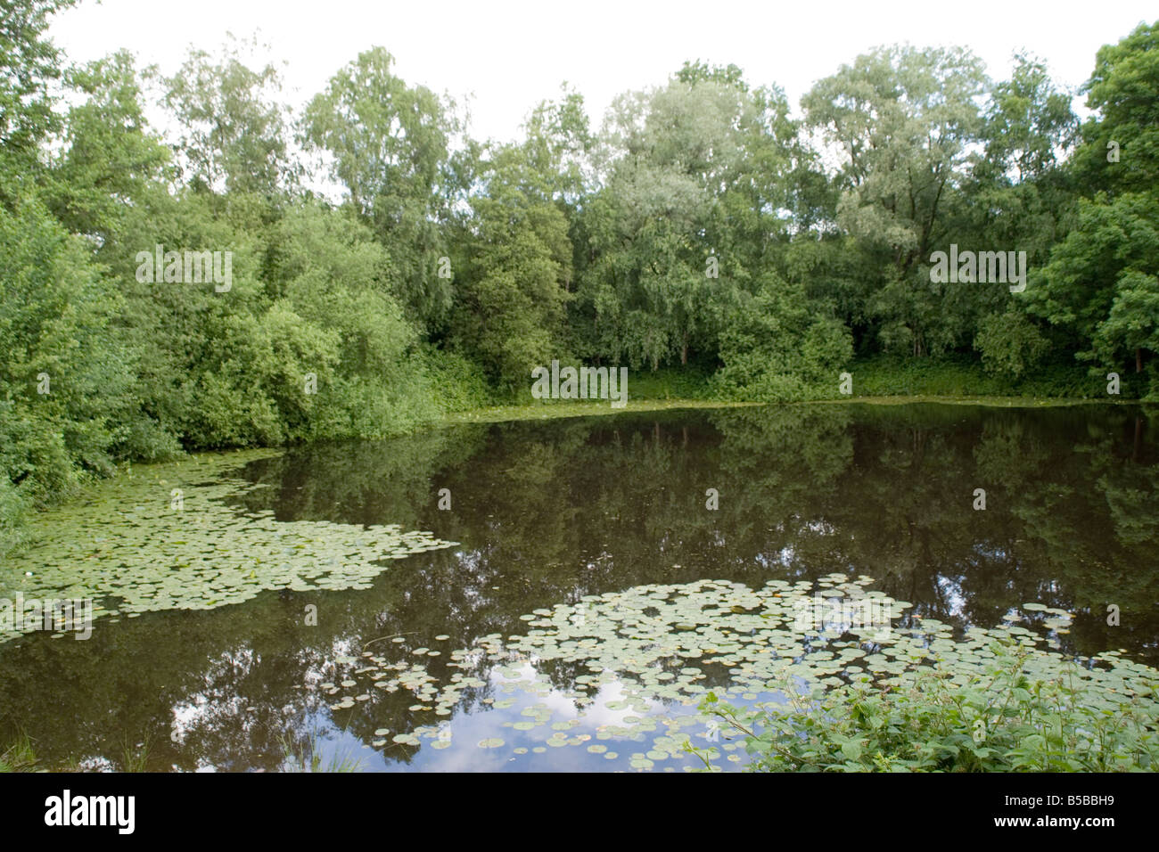 Messines ridge mine hi-res stock photography and images - Alamy