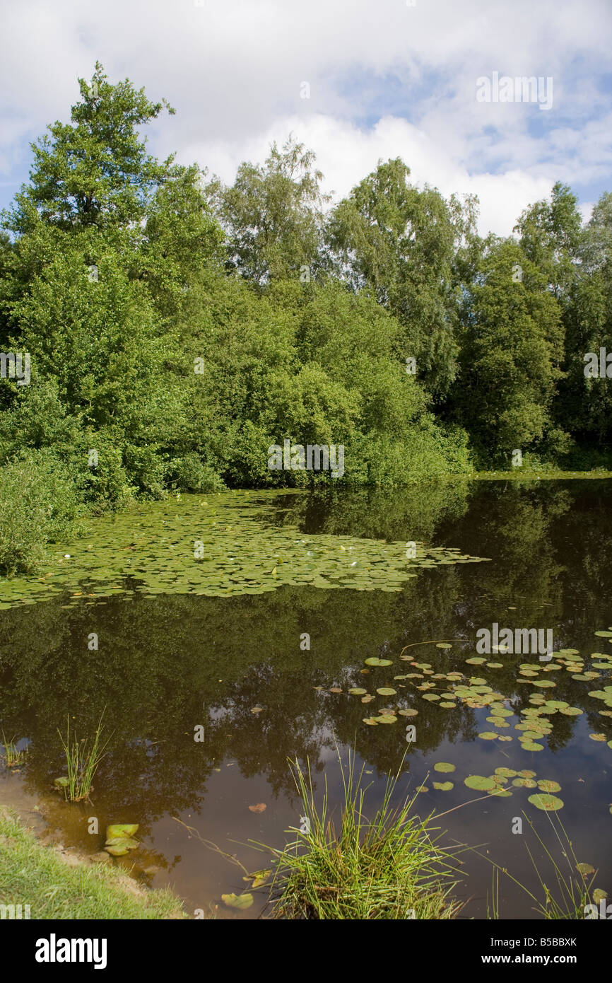 Pool of peace hi-res stock photography and images - Alamy