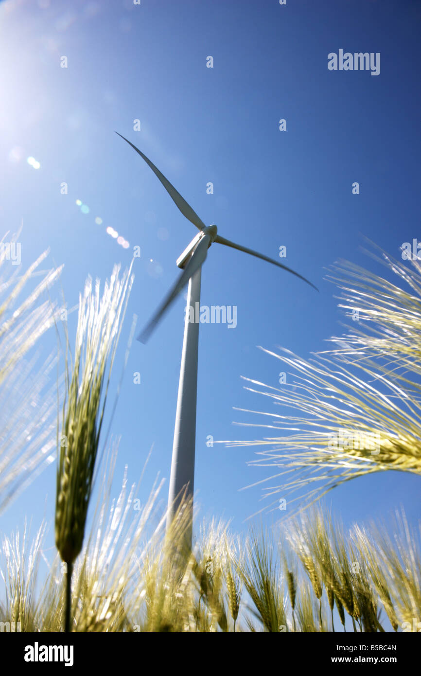 DEU Germany Wind turbines near Grimmen Stock Photo - Alamy