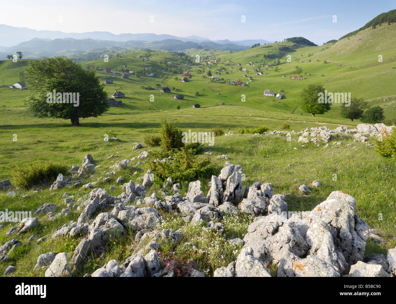 Transylvanian alps, near Bran, Transylvania, Romania, Europe Stock ...