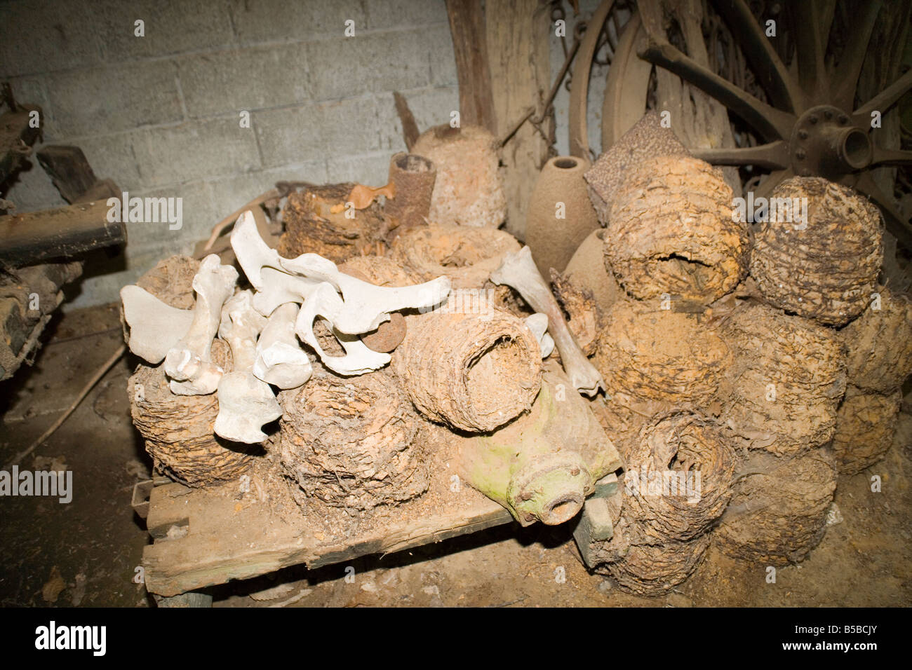First World War Museum at Sanctuary Wood, Hill 62 near Ypres, Flanders ...