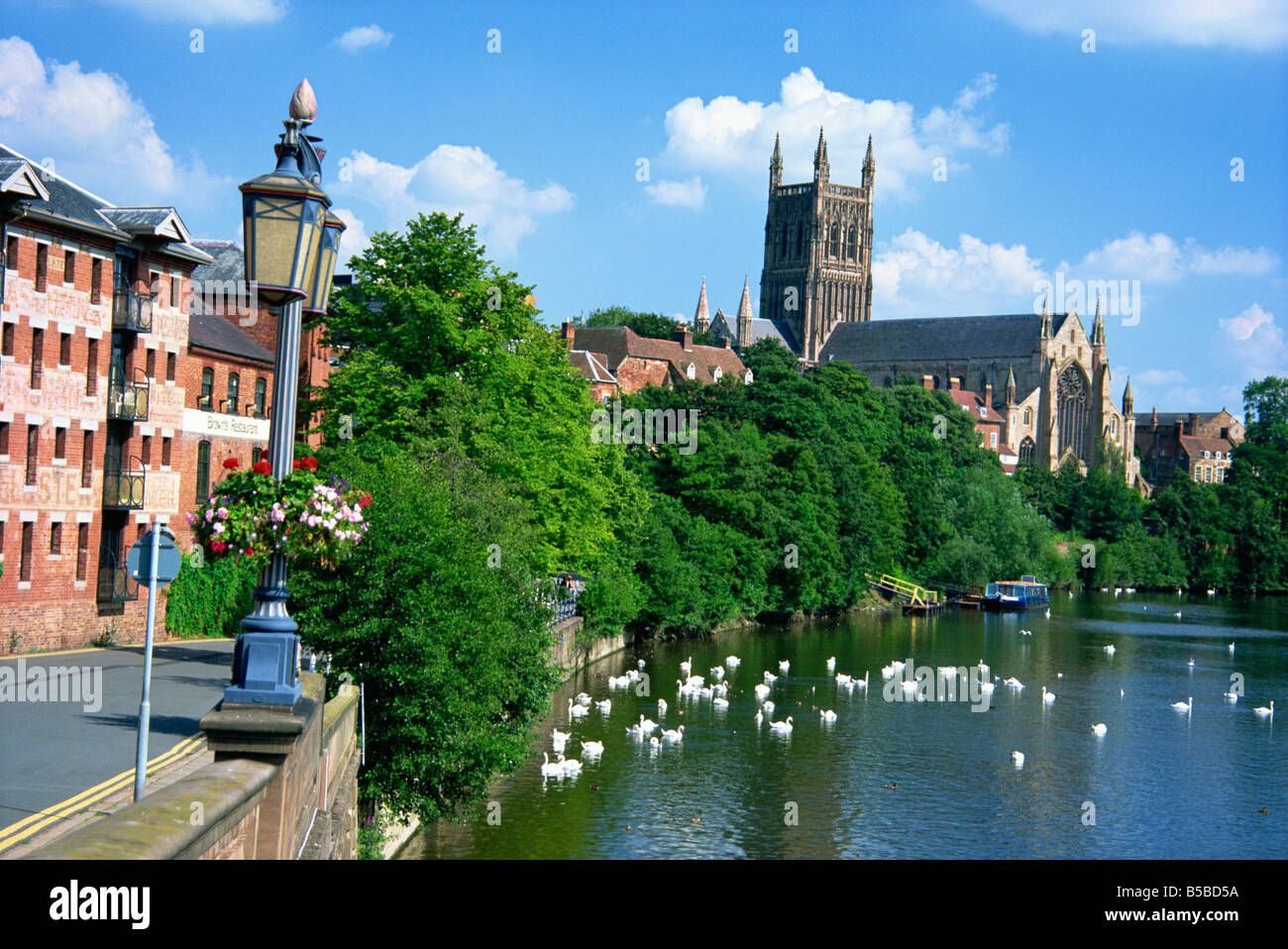 Worcester swans hi-res stock photography and images - Alamy