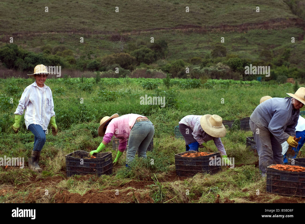 Workers horizontal hi-res stock photography and images - Alamy