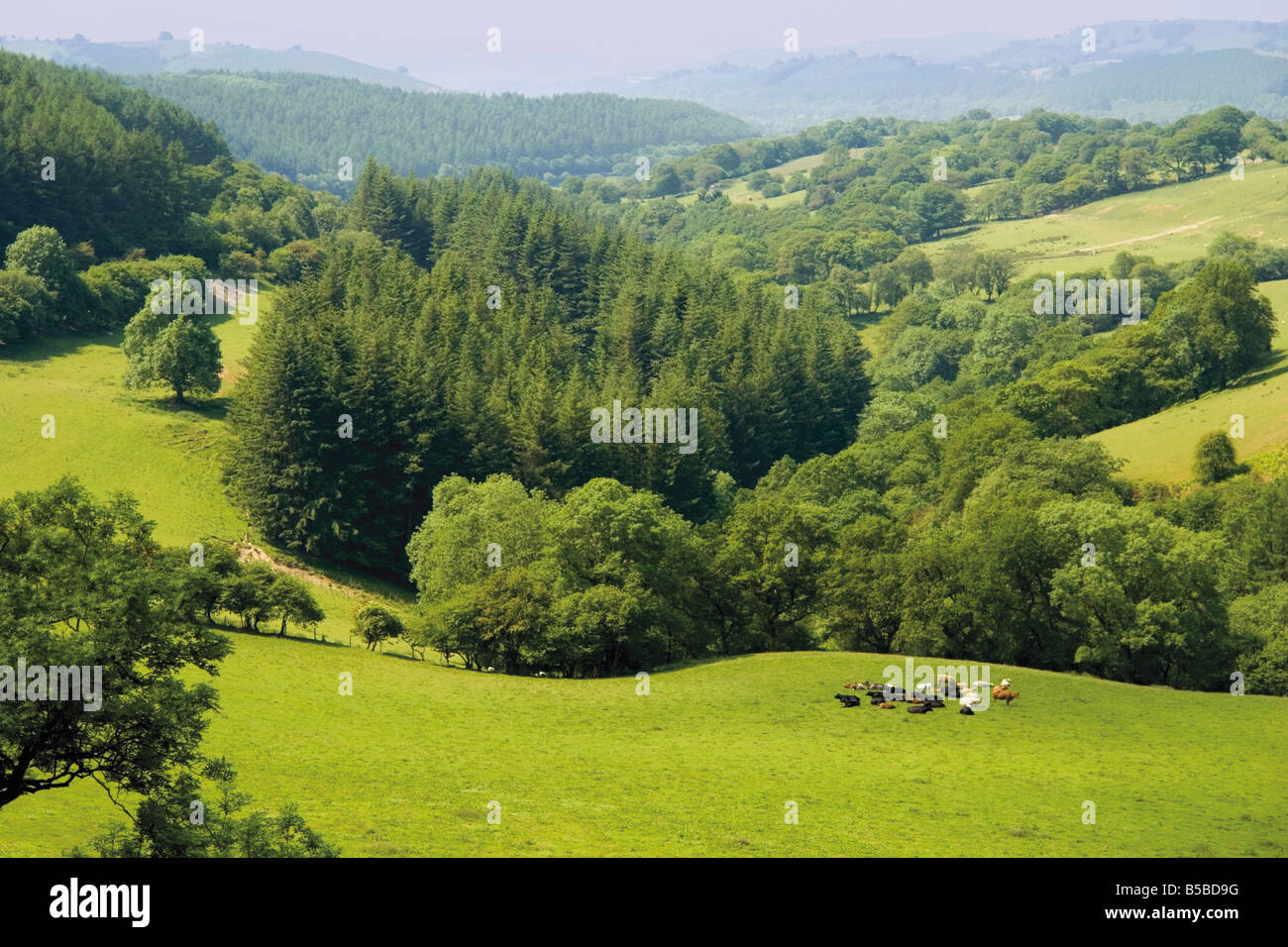 Mid Wales Countryside High Resolution Stock Photography and Images - Alamy