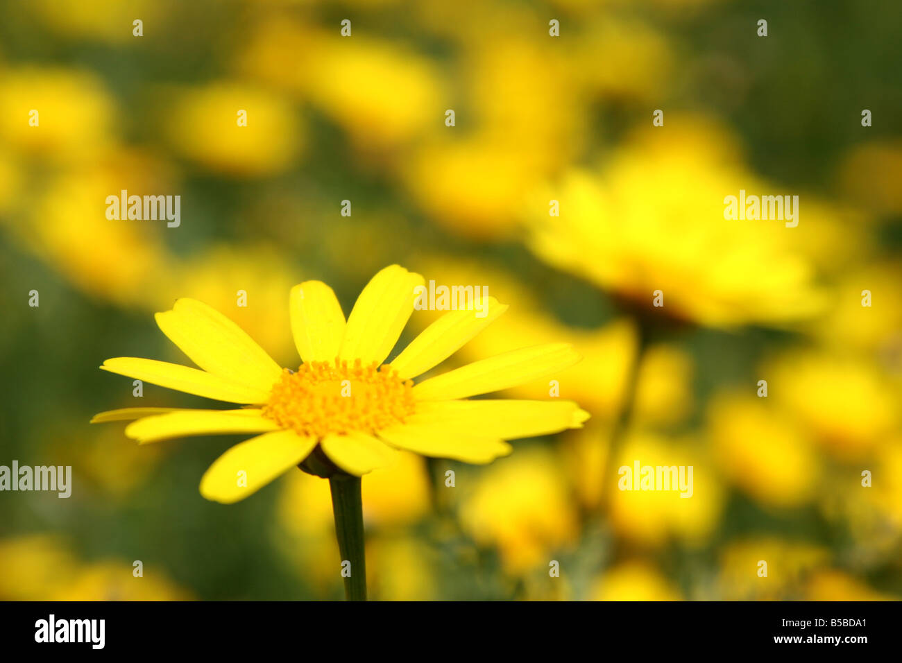 Yellow hike hi-res stock photography and images - Alamy