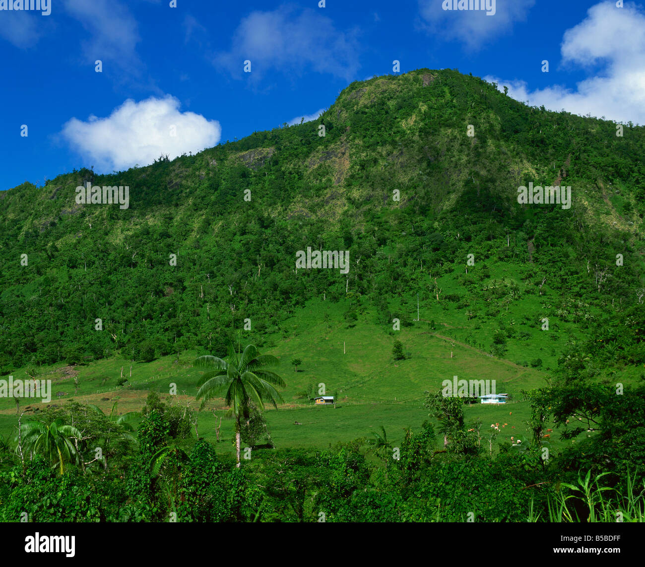 Mafa hi-res stock photography and images - Alamy