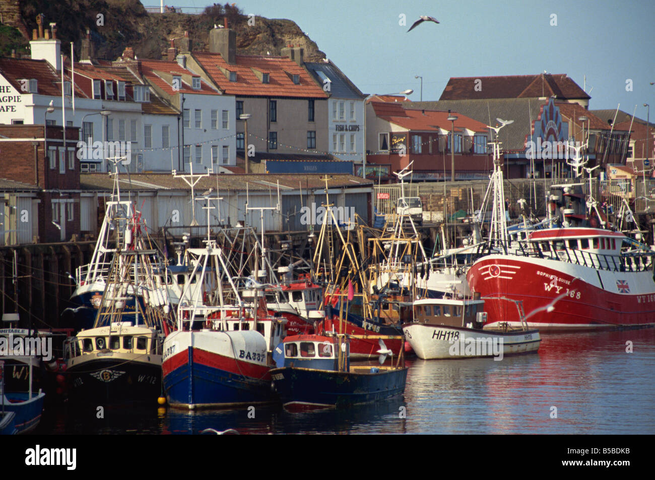 Fishing fleet in harbour Whitby North Yorkshire England United Kingdom ...