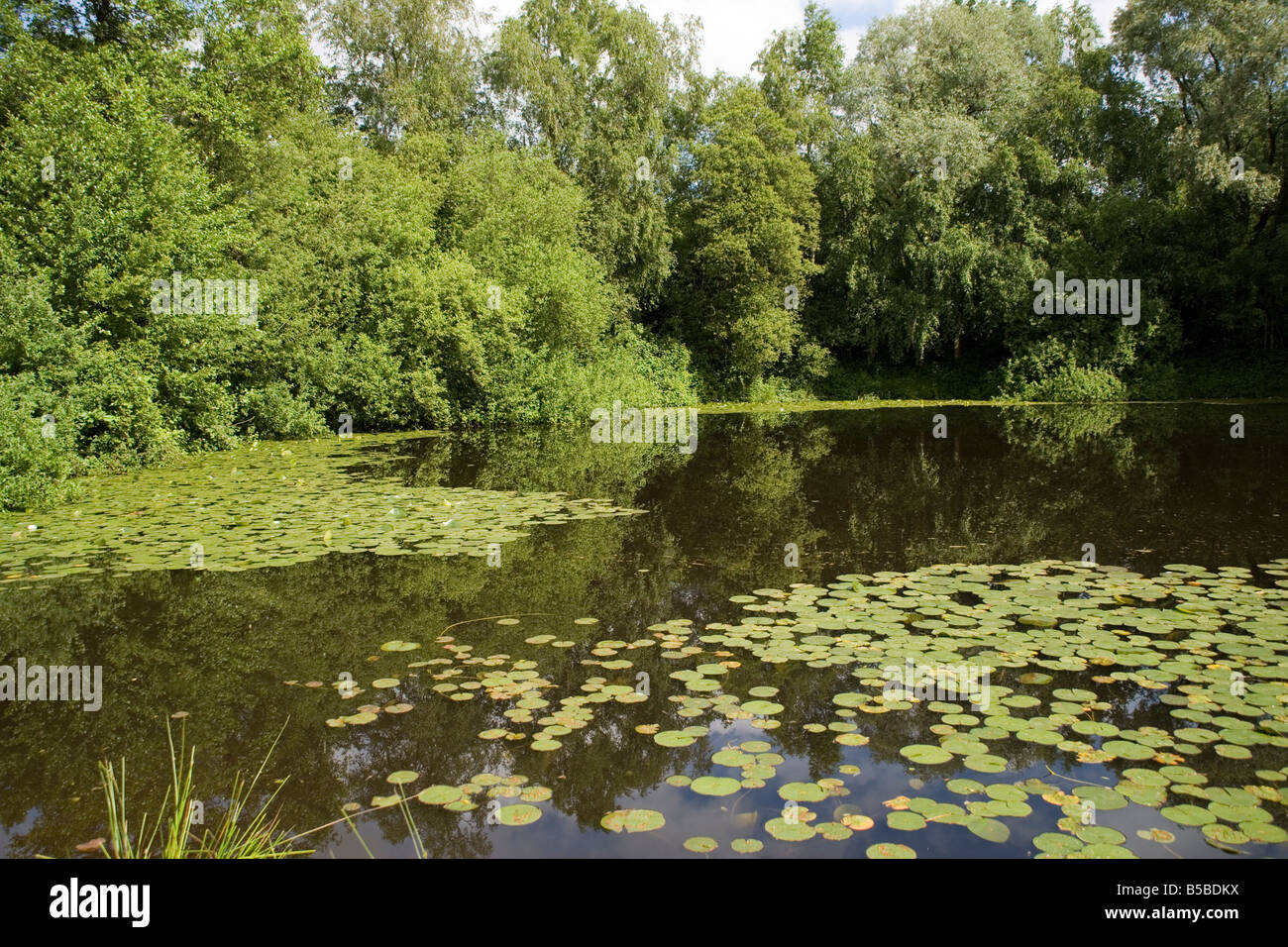 Messines ridge mine hi-res stock photography and images - Alamy