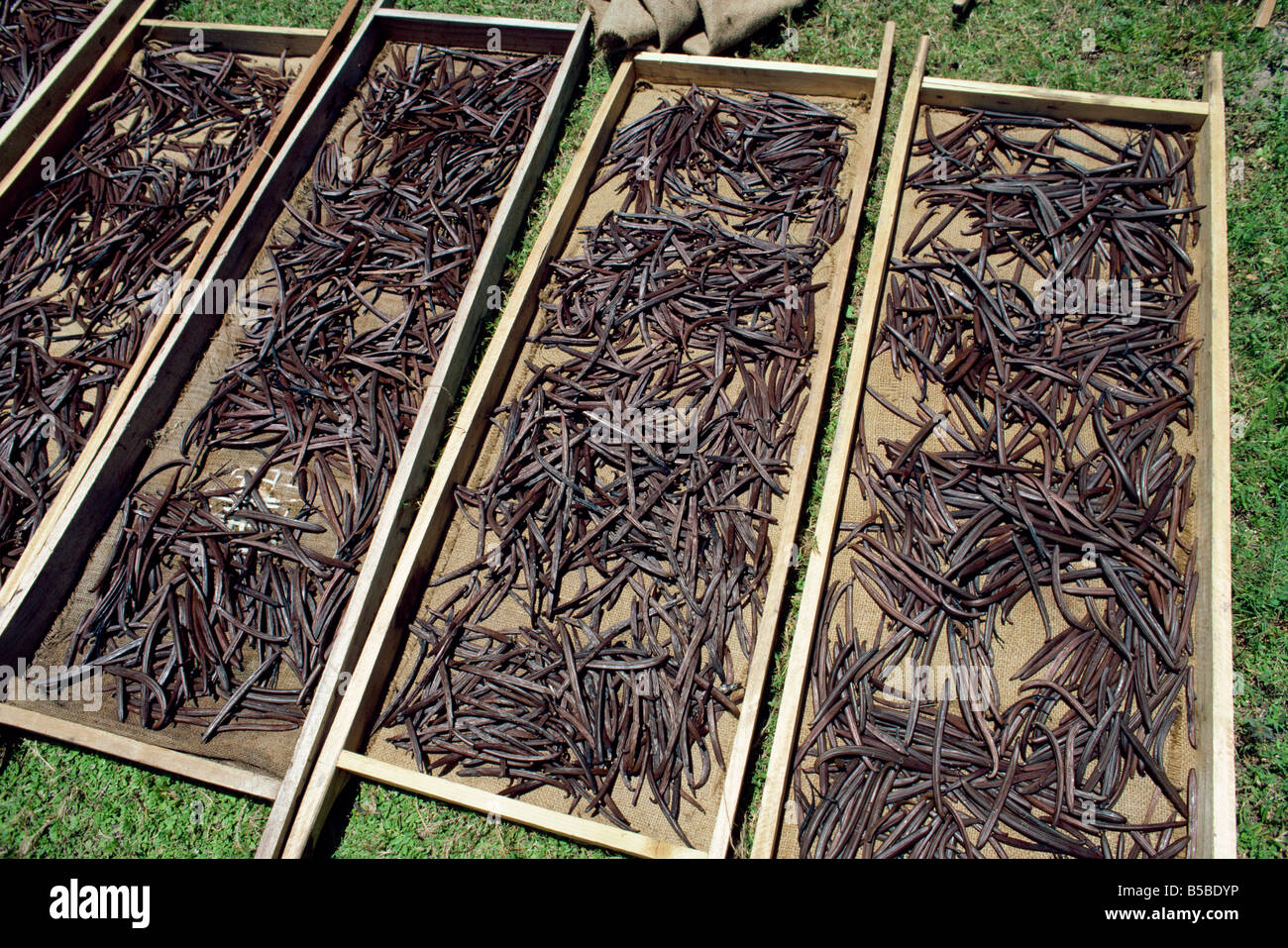 Drying ups hi-res stock photography and images - Alamy