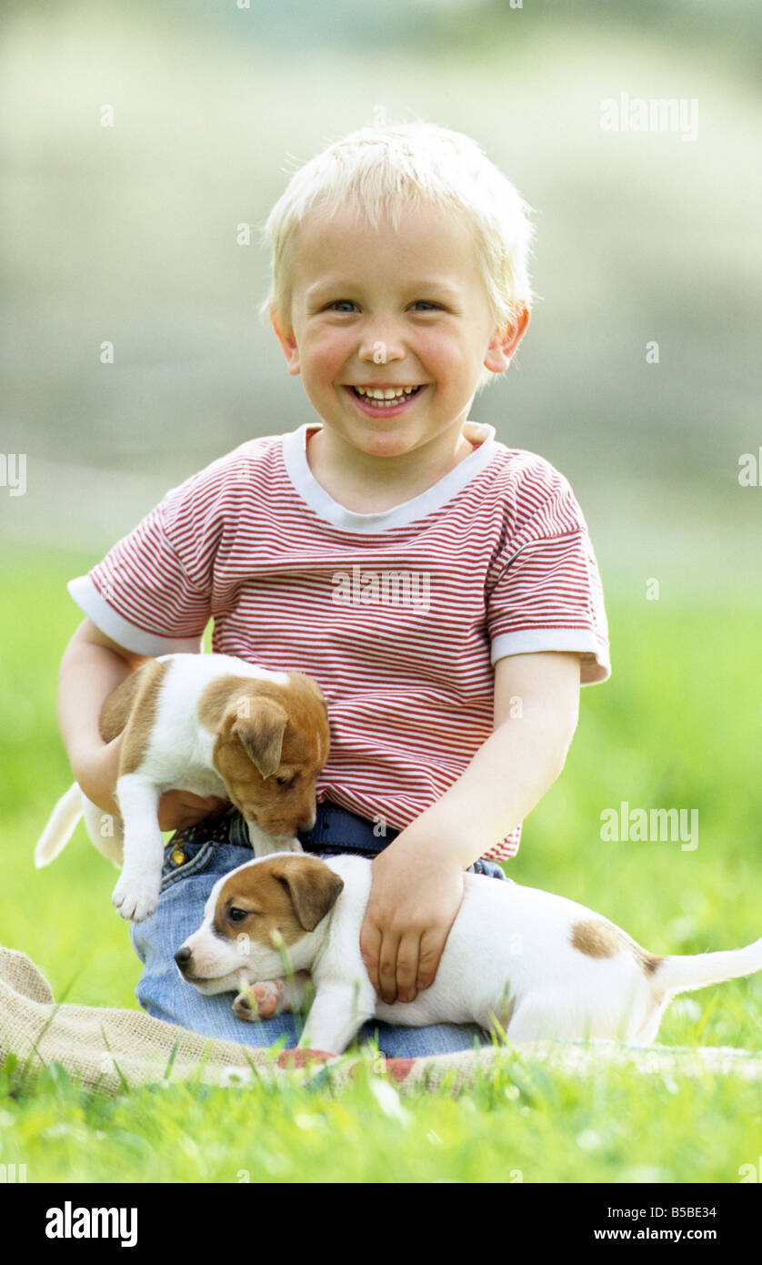 Jack Russell Terrier (Canis lupus familiaris). Laughing boy sitting ...