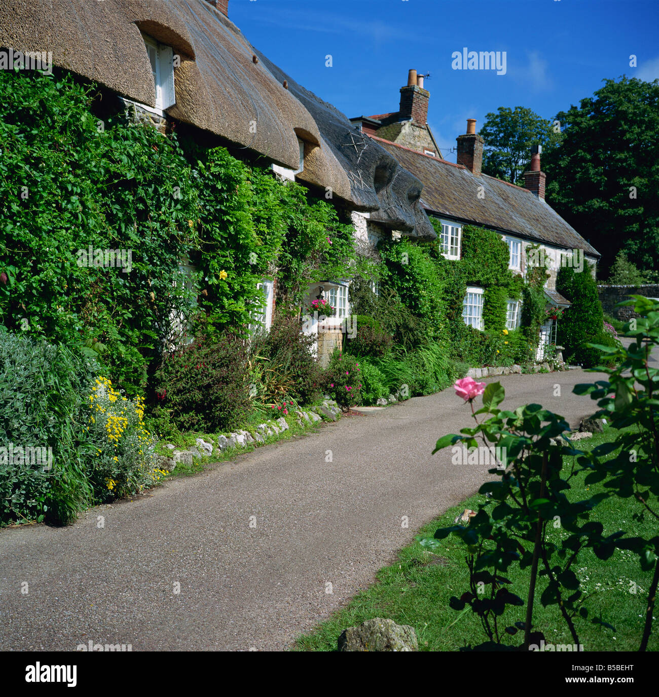 Winkle Street, Calbourne, Isle of Wight, England, Europe Stock Photo ...