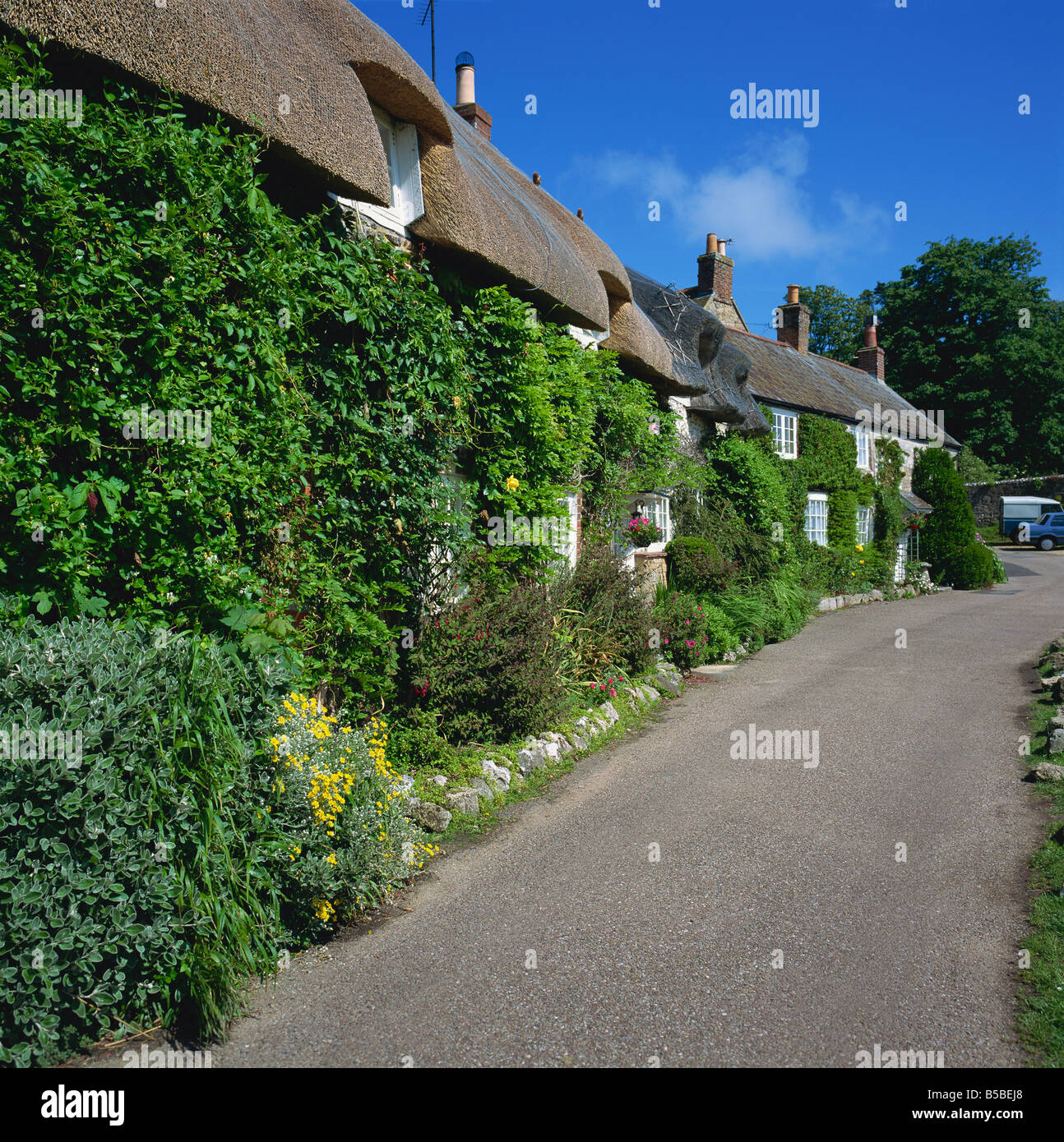 Winkle Street, Calbourne, Isle of Wight, England, Europe Stock Photo ...