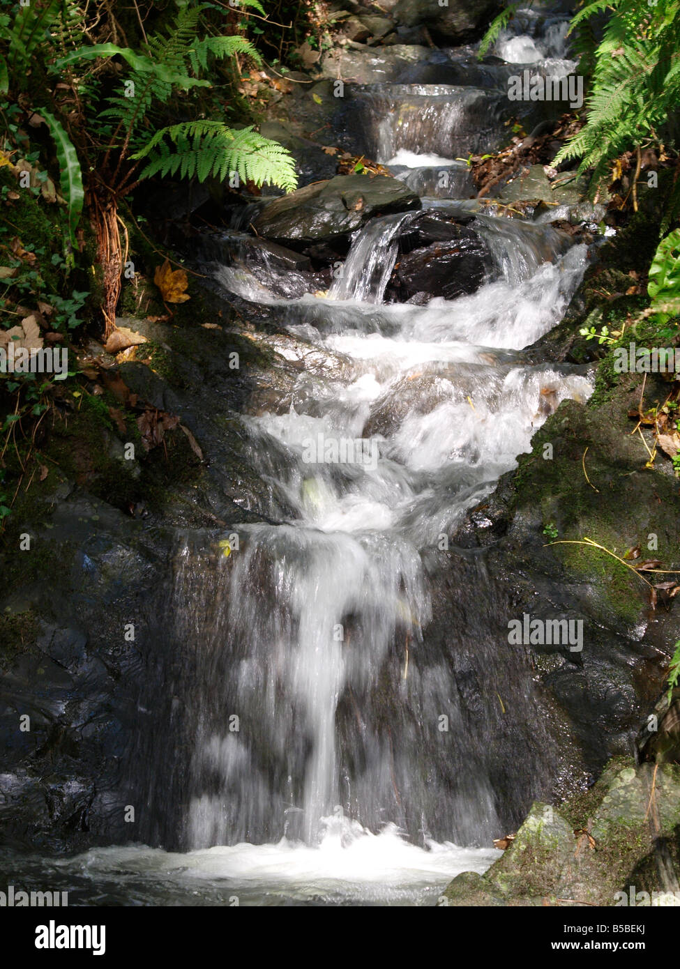 Falling down a waterfall hi-res stock photography and images - Alamy